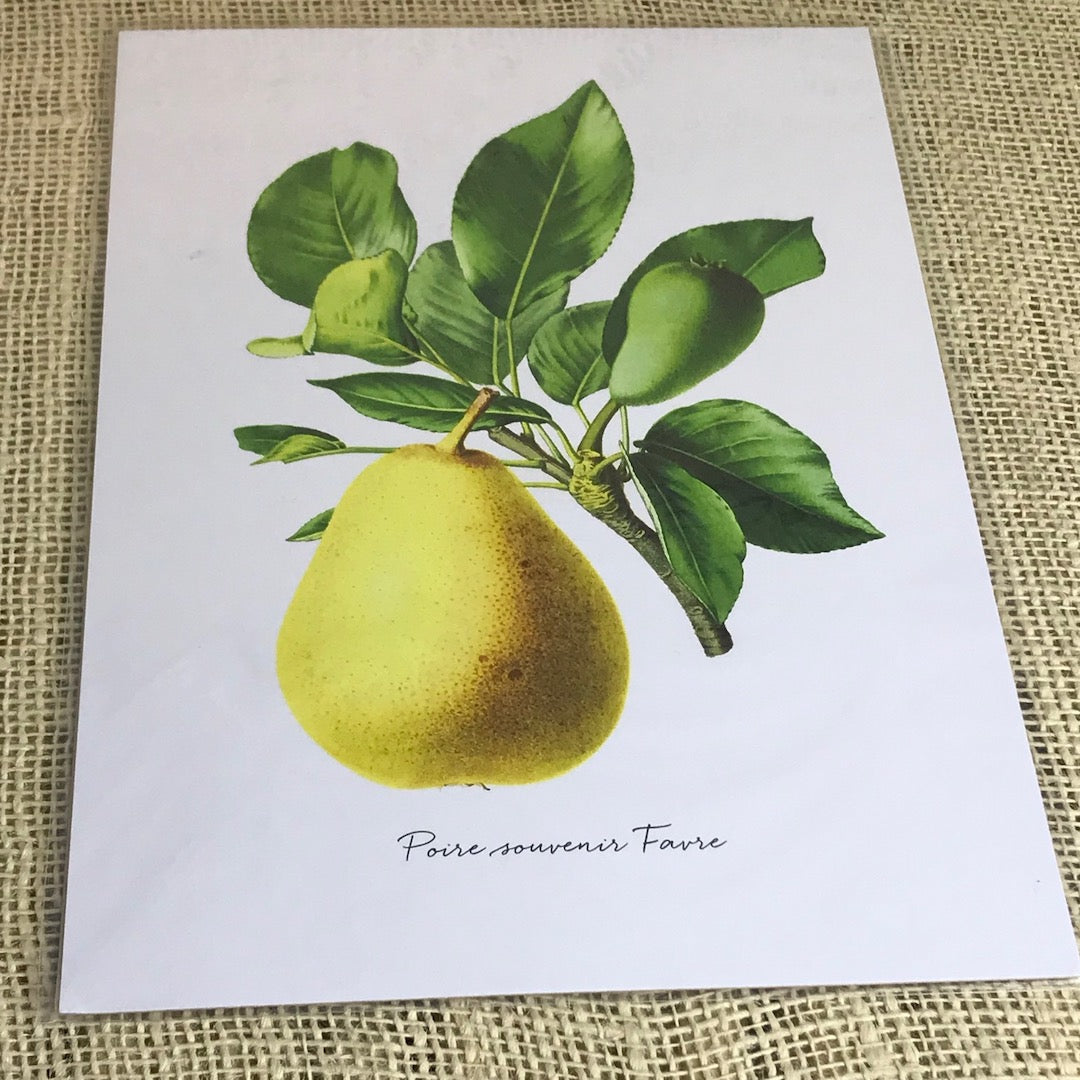 Set of four fruit prints – Moody Mabel